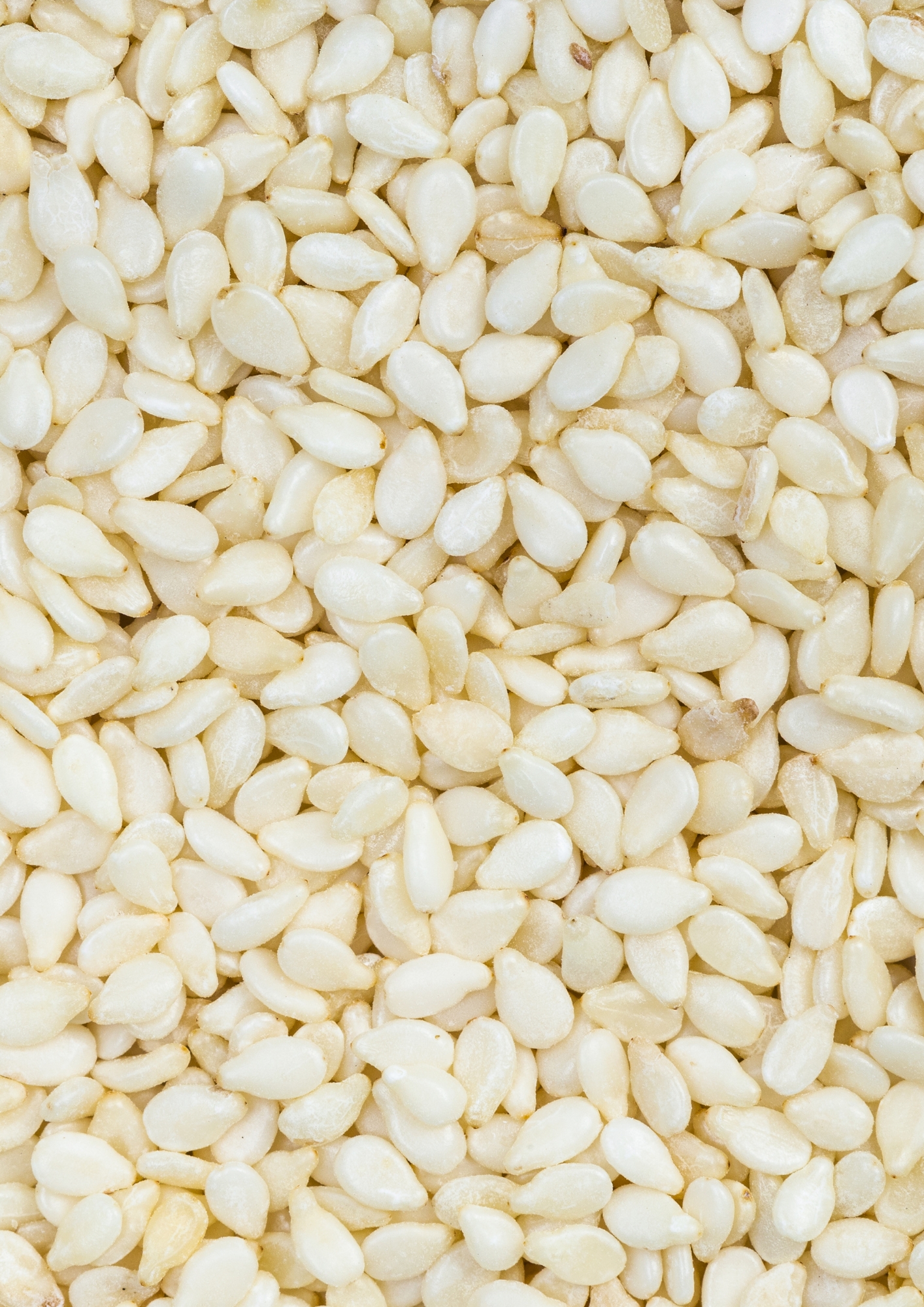 Hulled Sesame – Samurai Tradex